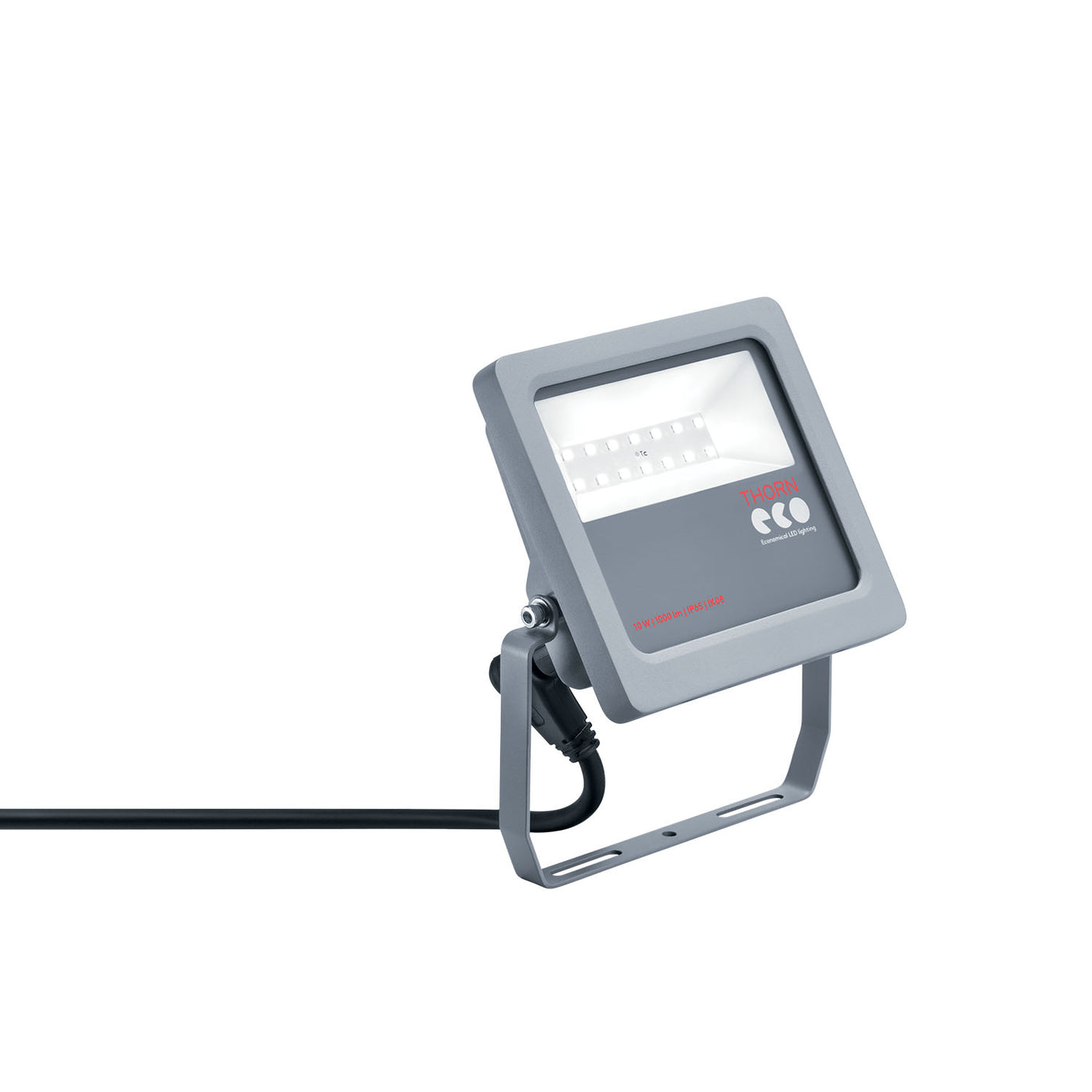 Thorn Eco 96631097 LEO20W3K Leonie LED IP65 3000K 20W Floodlight ...