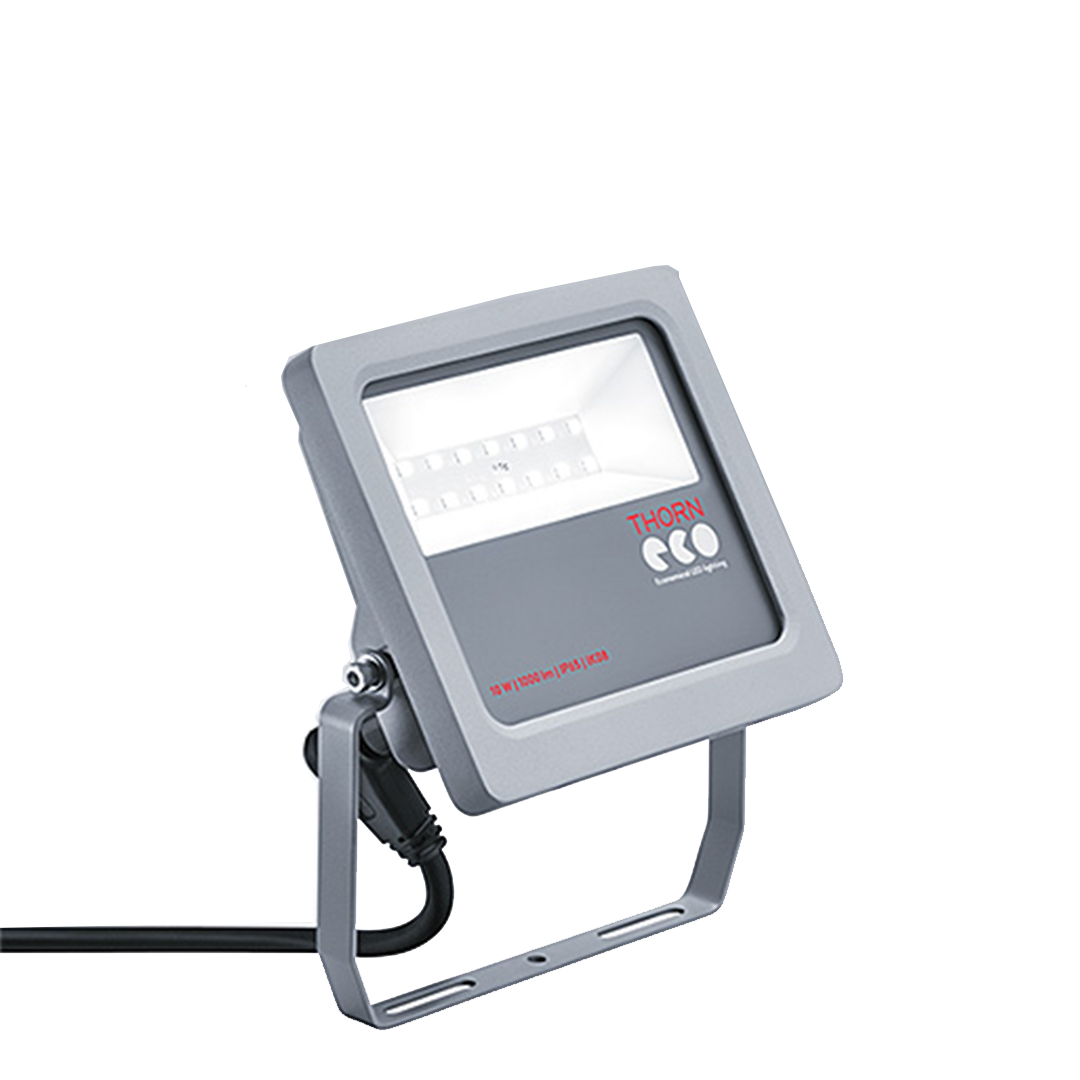 Thorn Eco 96631096 LEO10W3K Leonie LED 10W IP65 3000K Floodlight ...